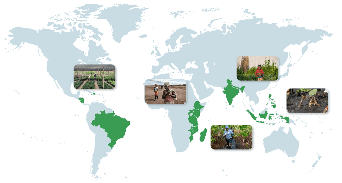 OneSeed Climate Impact